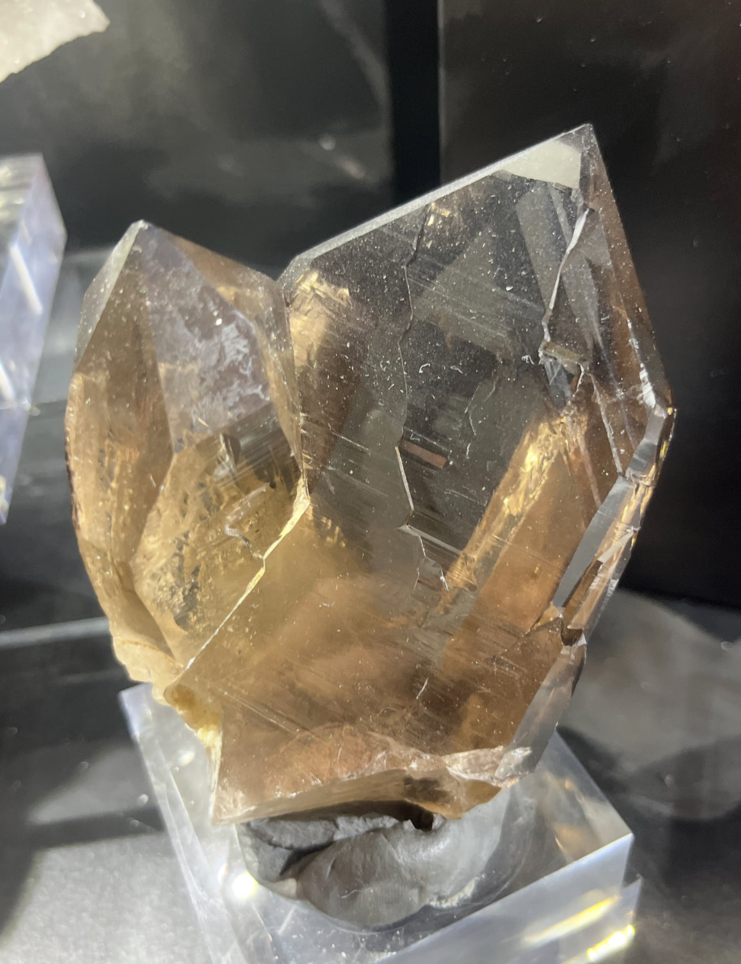 The Gem Guy Collection Exclusives – Page 2